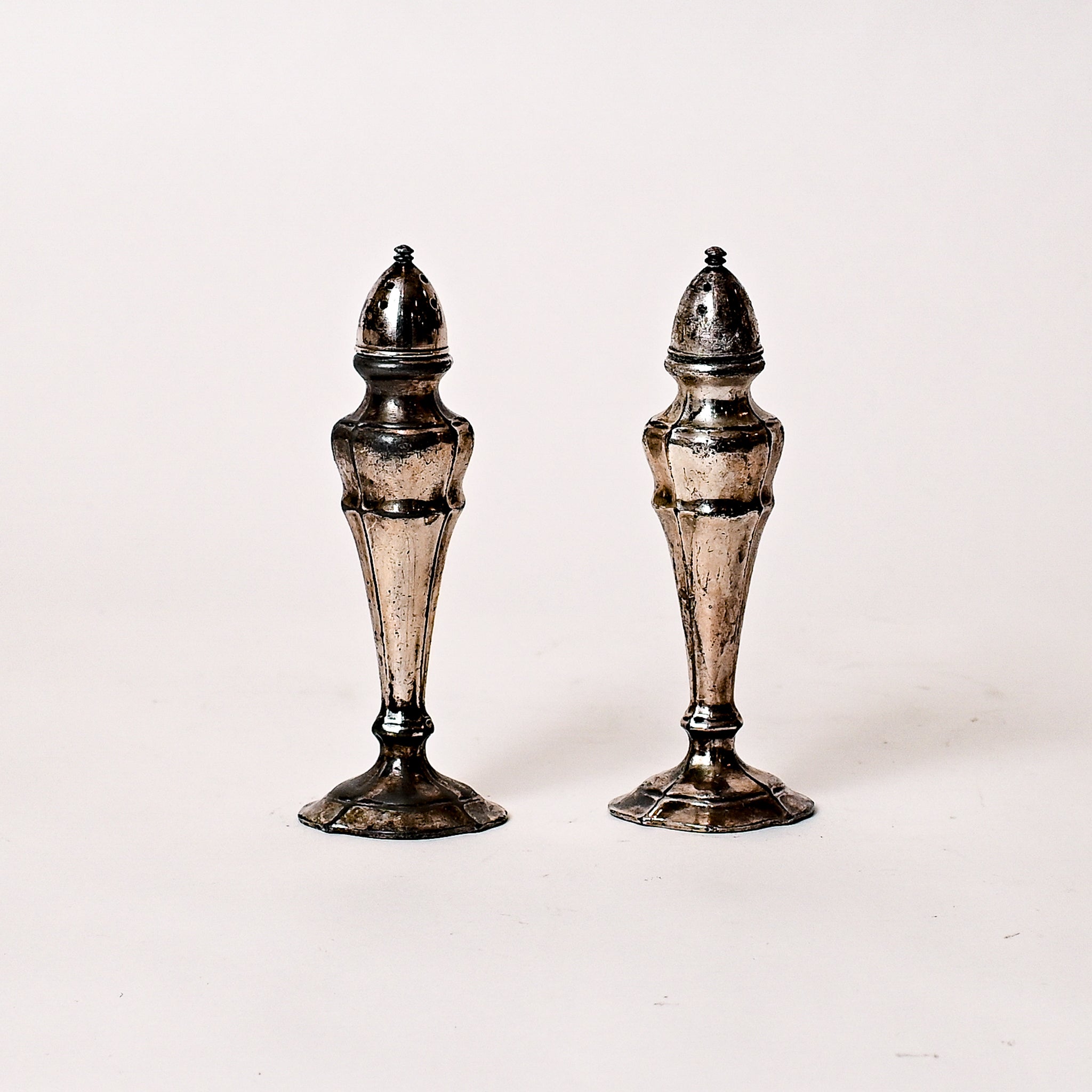 Salt And Pepper Shakers Sap And Seedling Market